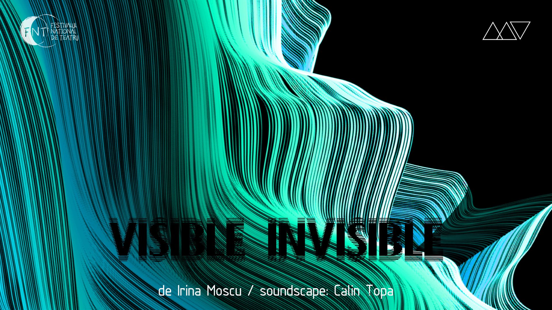 VISIBLE INVISIBLE Edi ia 2019